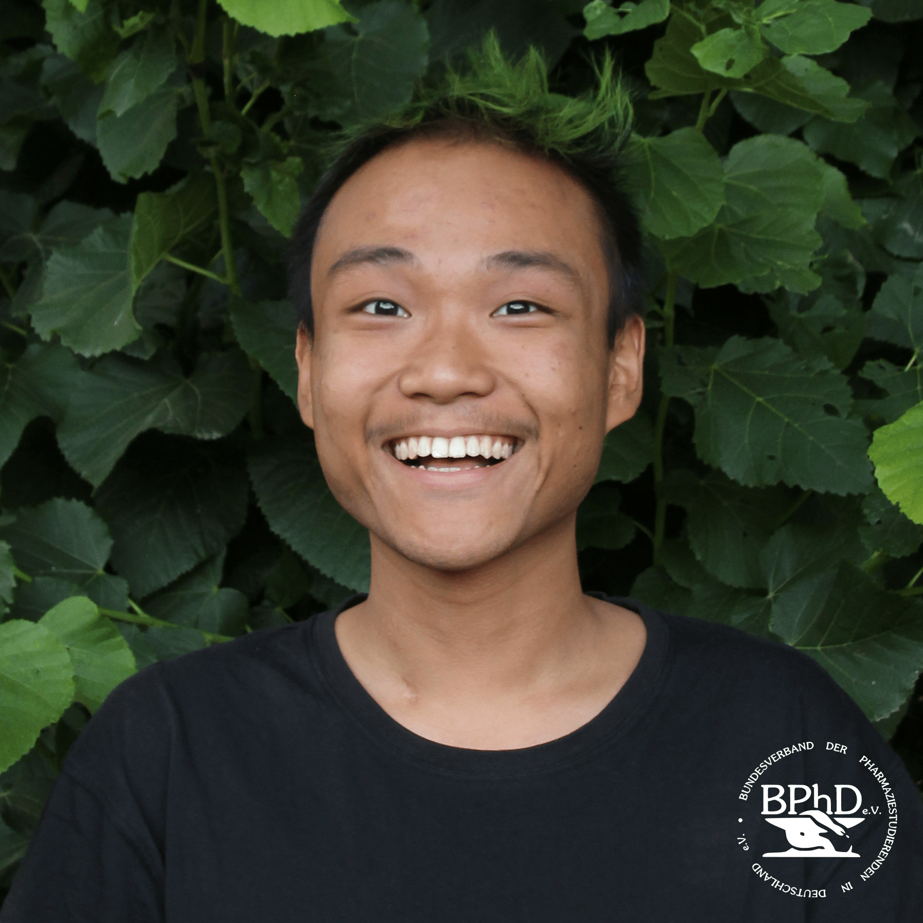 Das Team – BPhD e. V.